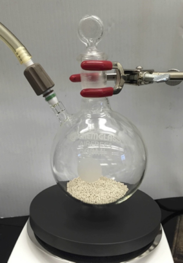 Organic Syntheses Procedure