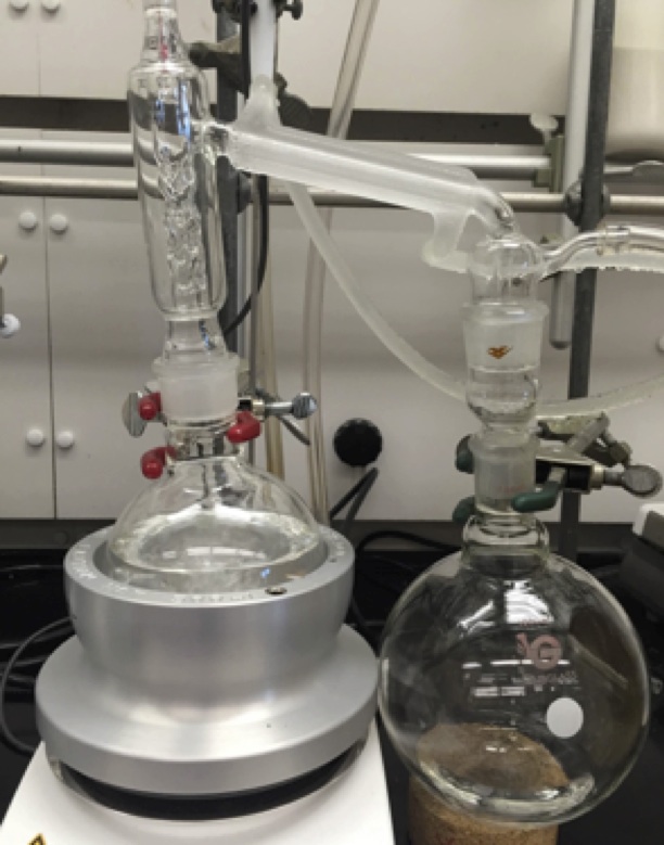 Organic Syntheses Procedure